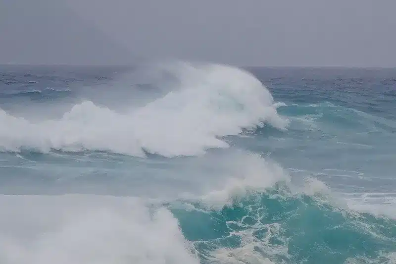 Life after Hurricane Irma and Maria | Ocean Surfari